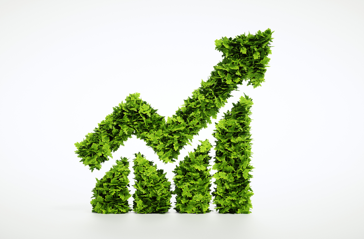 Socially responsible investing: Investing for the future Socially responsible investing: Investing for the future