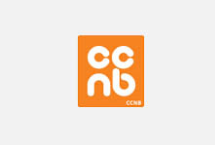 Institutions | IFSE Institute